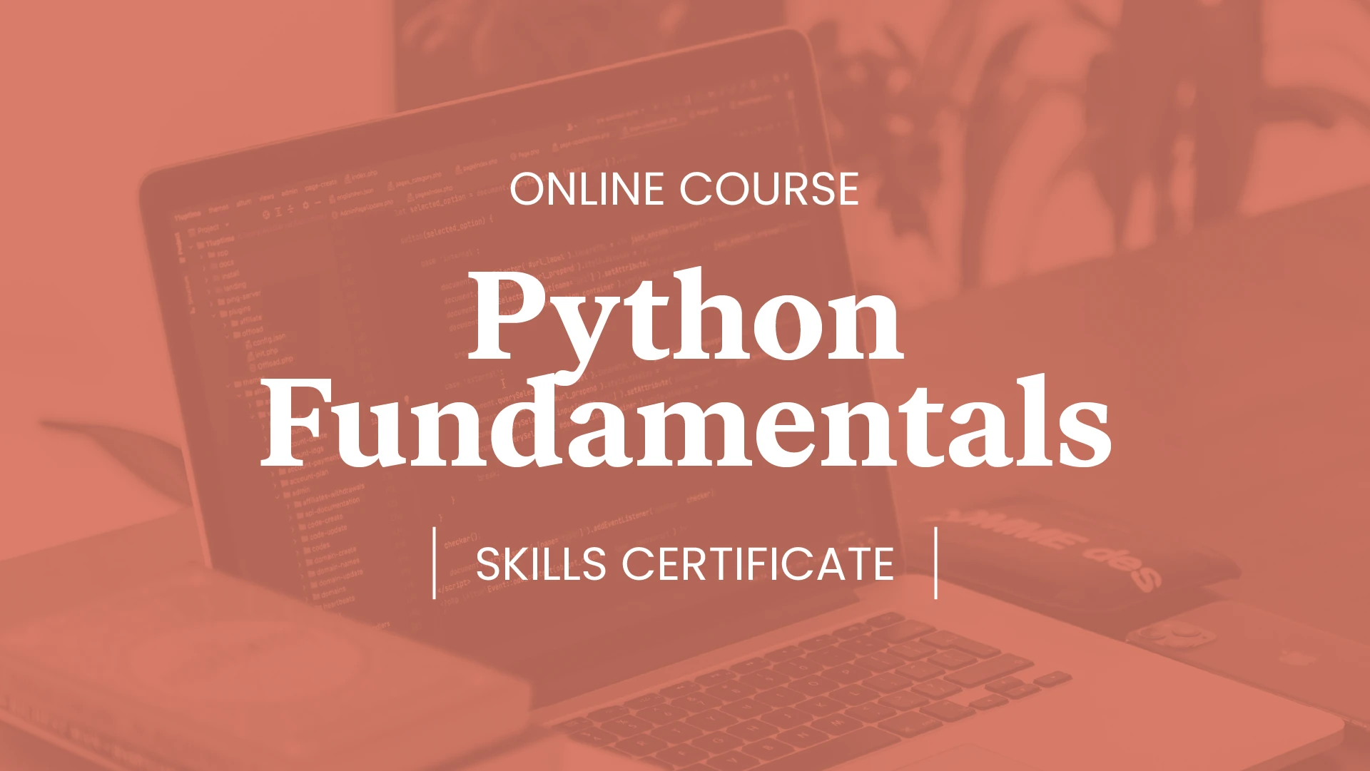 Python Fundamentals Online Course - FE Training