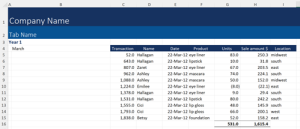 Financial Model Formatting - Financial Edge