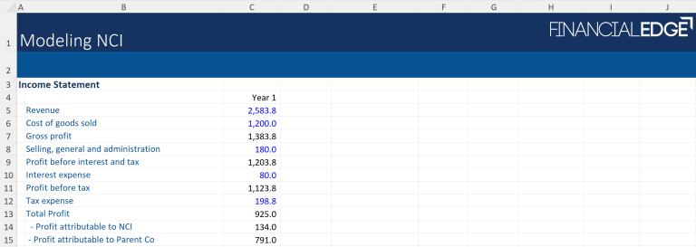 How to Model Non-Controlling Interest - Financial Edge
